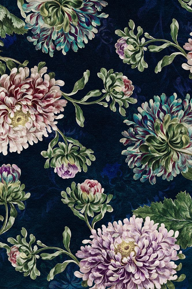 Vintage large double china aster | Premium Photo - rawpixel