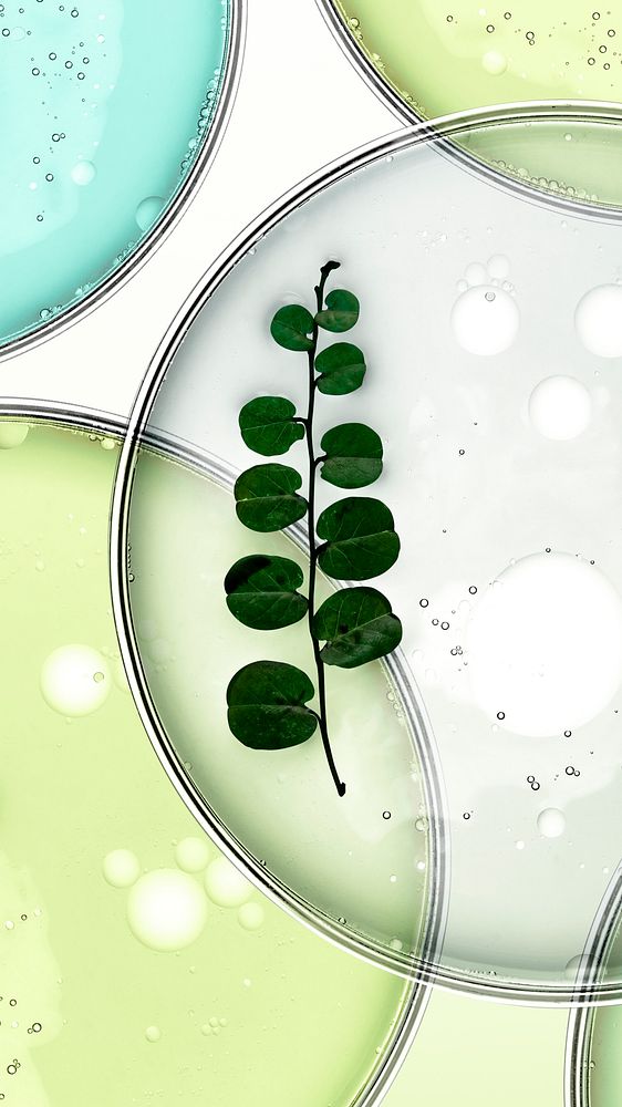 Phone wallpaper science experiment background | Free Photo - rawpixel