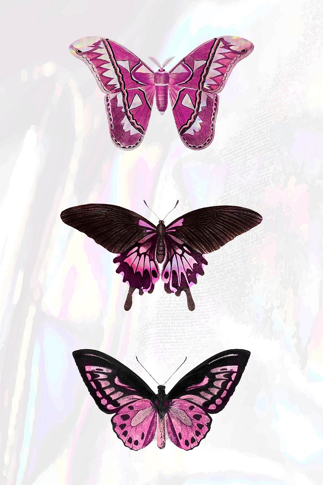 Pink holographic and glittery butterfly | Premium Vector - rawpixel