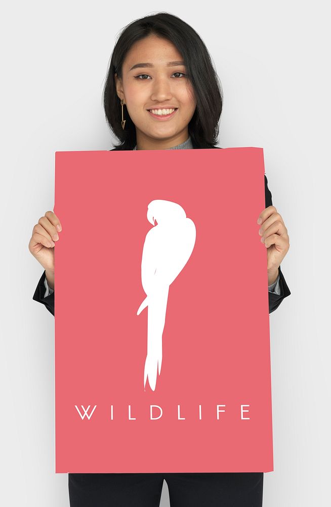 Animal Wildlife Word Parrot Graphic | Premium Photo - rawpixel