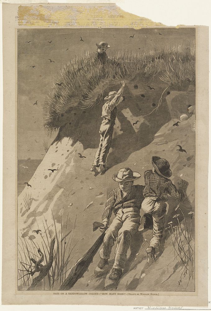 Raid Sand-Swallow Colony - How | Free Photo - rawpixel