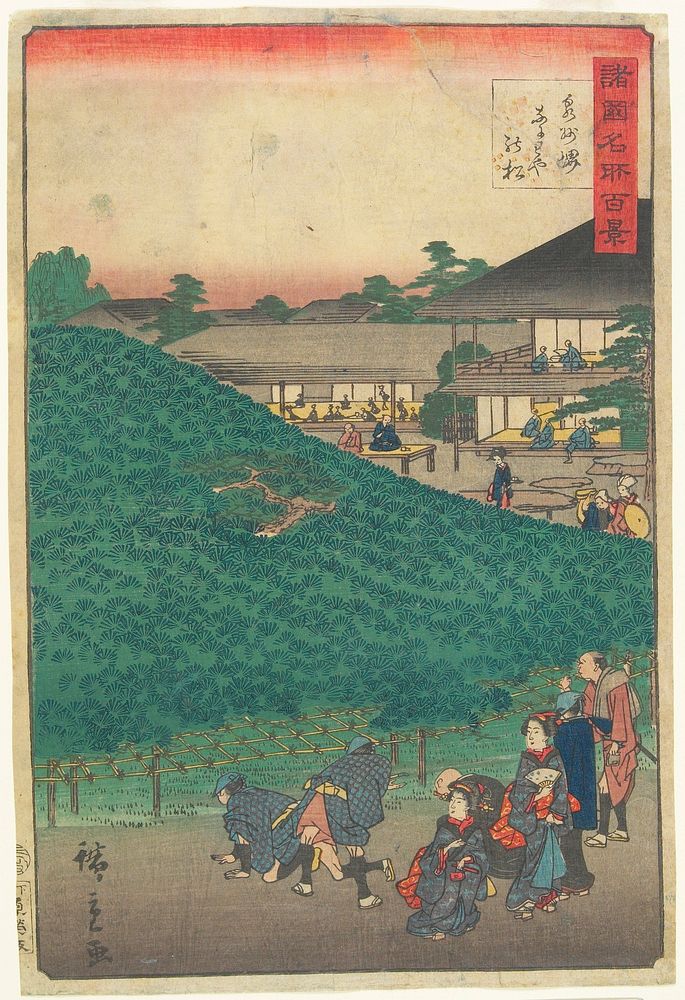 Pine Tree Naniwaya Sakai Senshū | Free Photo - rawpixel