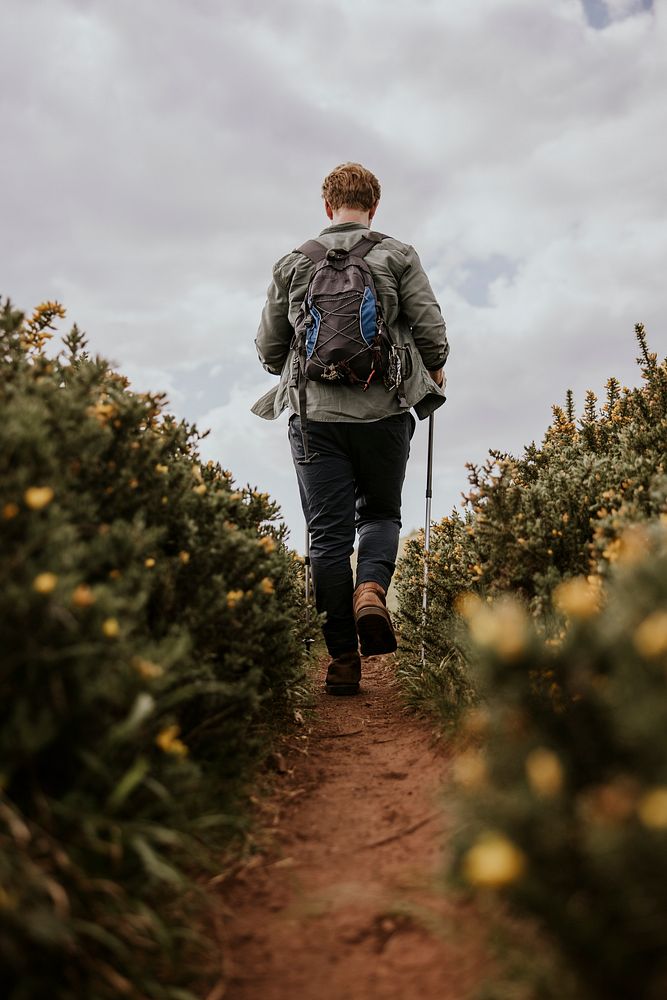 Hiker walking in flower field, | Premium Photo - rawpixel