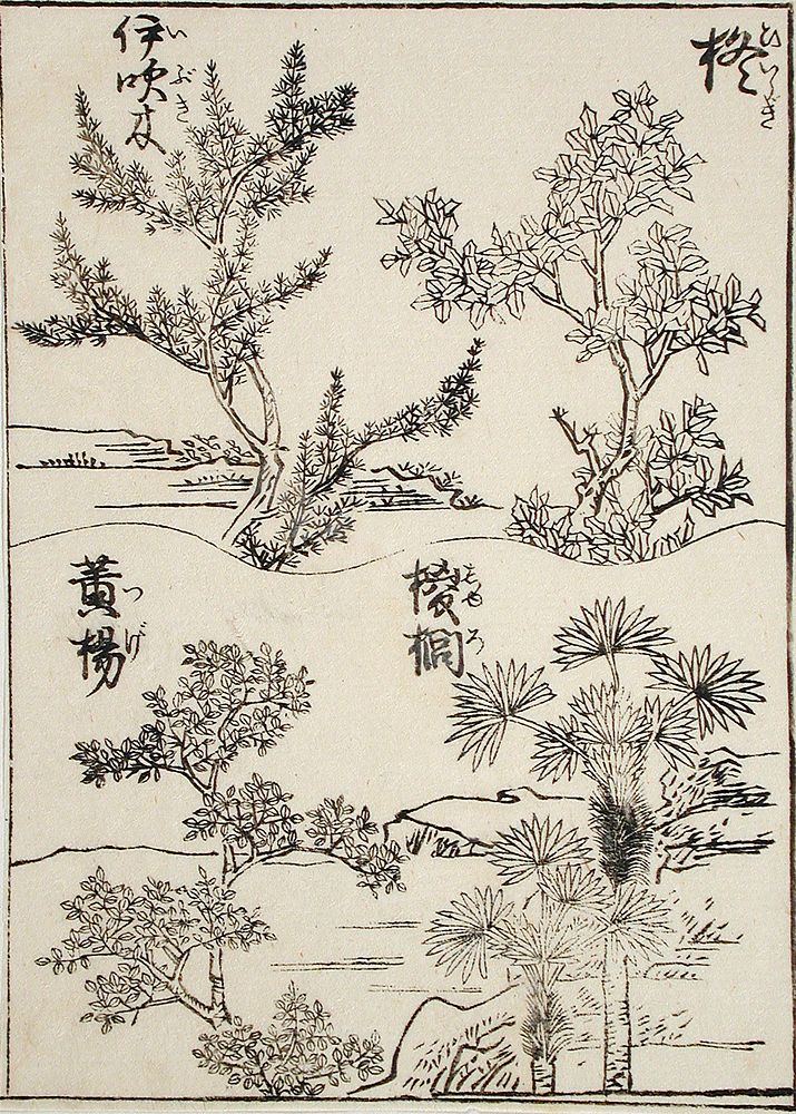 Three Plant Samples Artists; English: | Free Photo Illustration - rawpixel