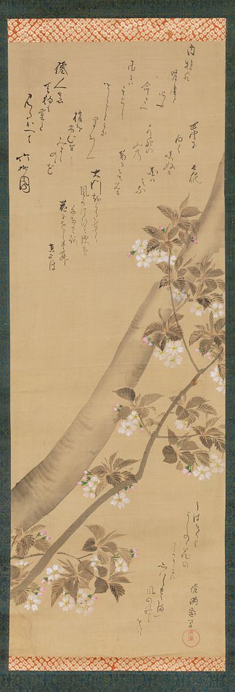 Cherry Blossoms Poems (ca. 1790–1820) | Free Photo - rawpixel