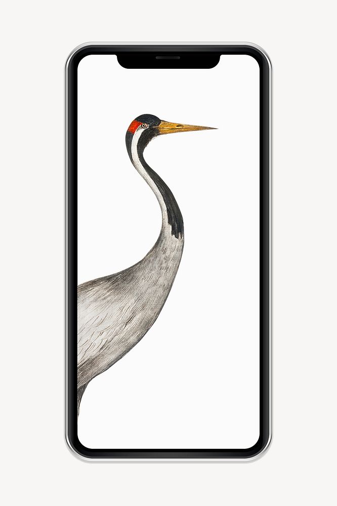 Vintage goose on smartphone screen | Premium PSD - rawpixel