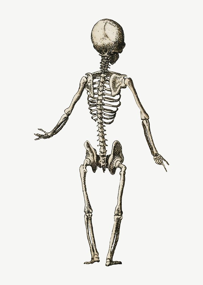 Aesthetic skeleton psd. Remastered rawpixel | Premium PSD - rawpixel