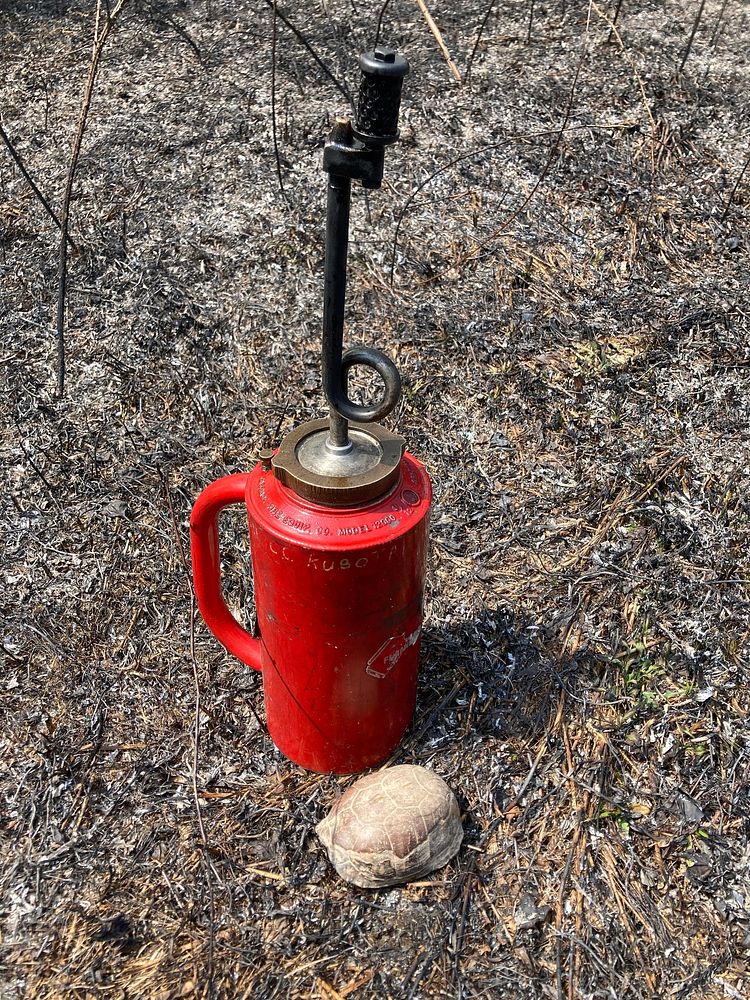 2021 USFWS Fire Employee Photo | Free Photo - rawpixel