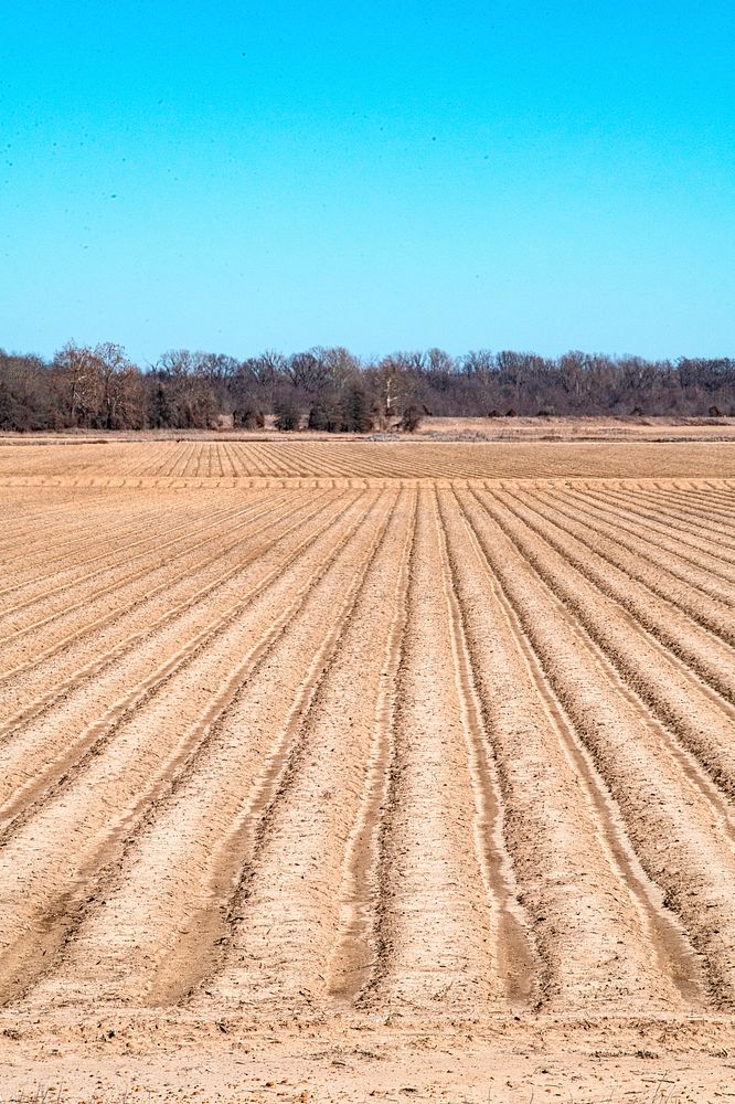 Mississippi farm field rows winter | Free Photo - rawpixel