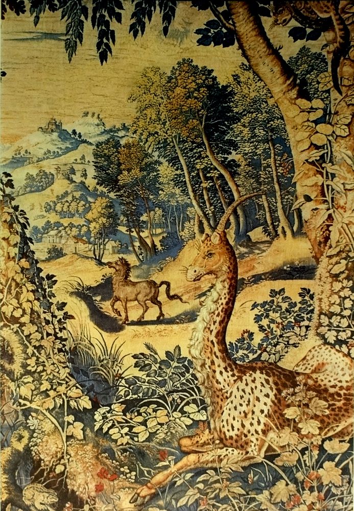 Arrases Images | Free Photos, PNG Stickers, Wallpapers & Backgrounds ...