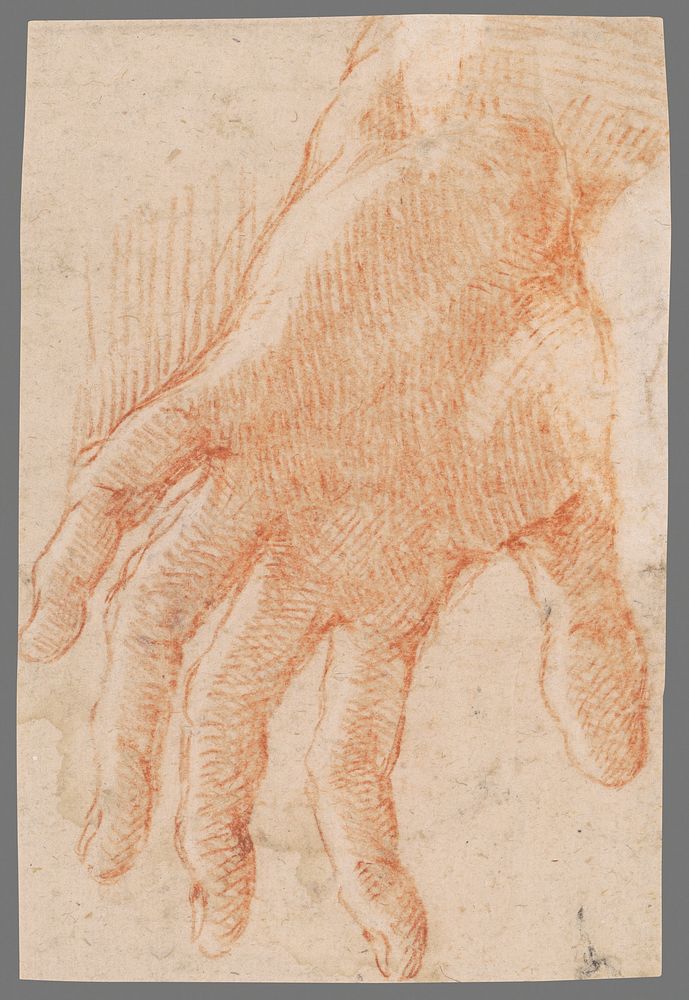 Left hand study | Free Photo Illustration - rawpixel