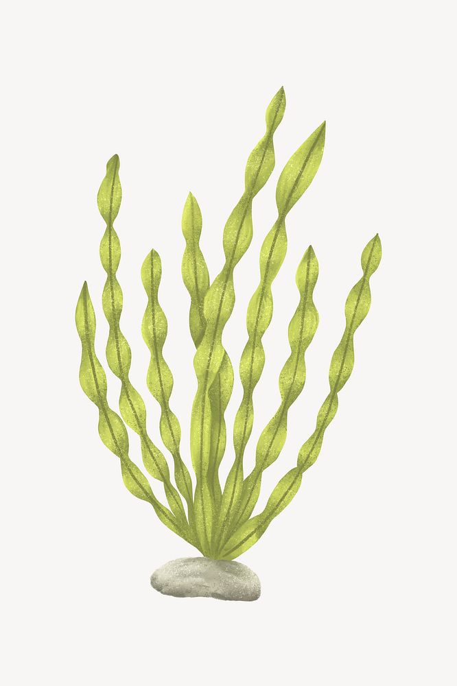 Green algae, aesthetic nature illustration | Free Photo Illustration ...