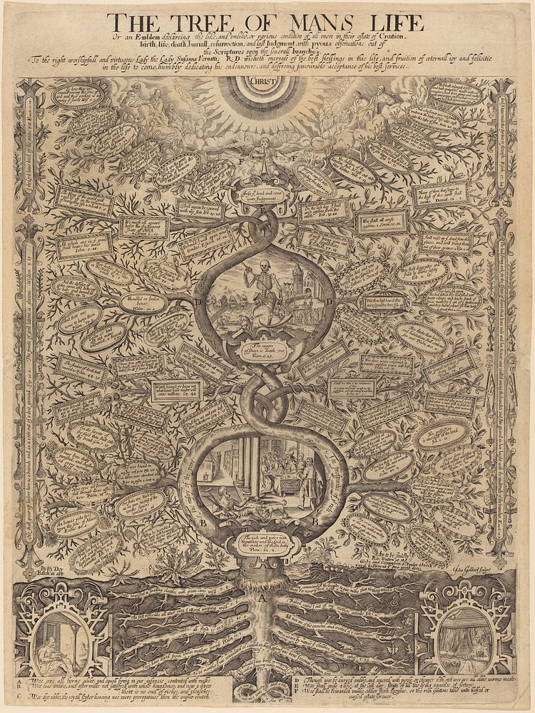 Tree Man's Life (c. 1637 | Free Photo Illustration - rawpixel