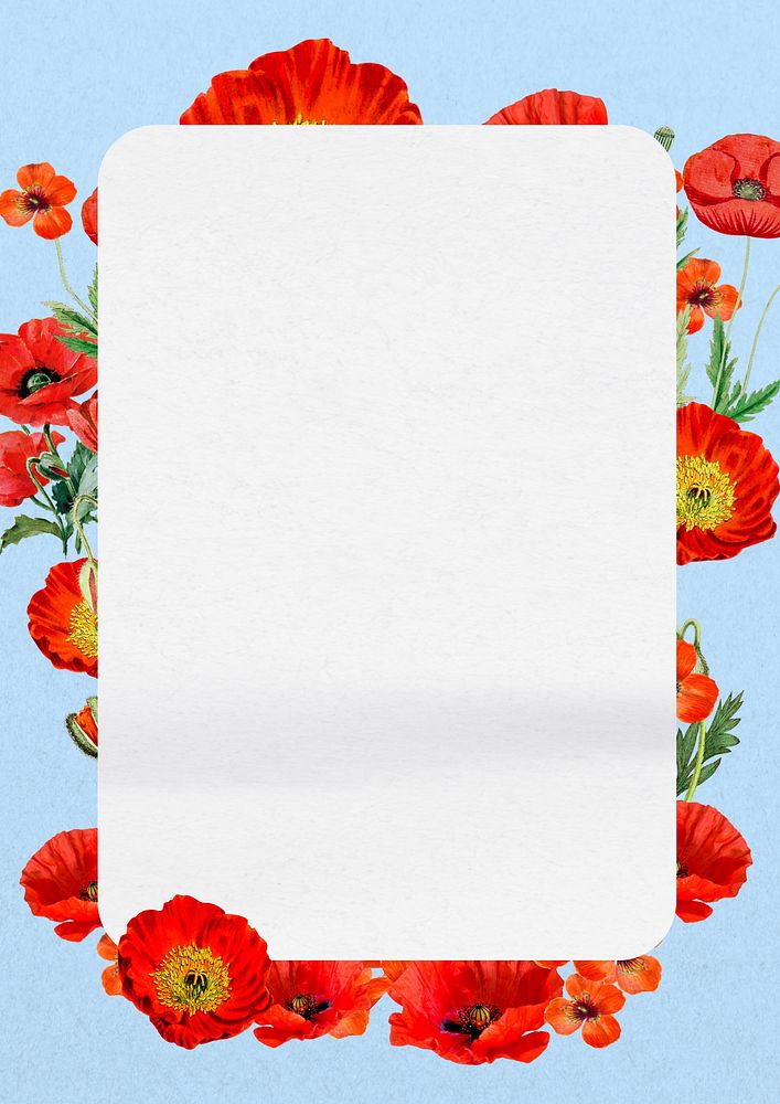 Red poppy frame, Summer flower | Premium Photo - rawpixel