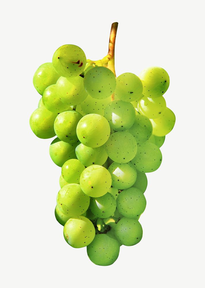 Green grape design element psd | Premium PSD - rawpixel