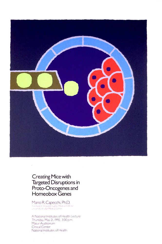 Creating mice targeted disruptions proto-oncogenes | Free Photo Illustration - rawpixel