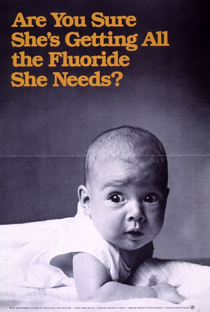 Books, Library Face JPEG Images | Free Photos, PNG Stickers, Wallpapers ...