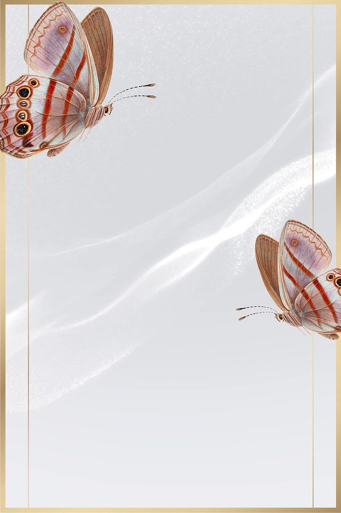 Butterfly frame marble background | Premium Photo - rawpixel