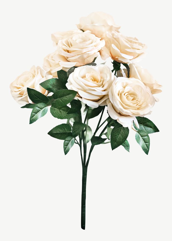 White roses collage element psd | Premium PSD - rawpixel