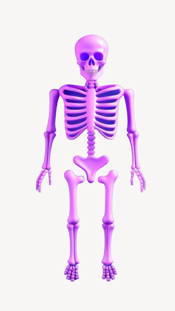 Representation skeleton biology science | Free Photo - rawpixel