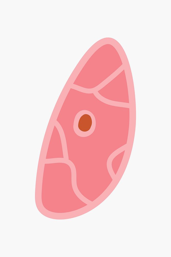 Cute pink ham, butcher shop | Premium Vector - rawpixel