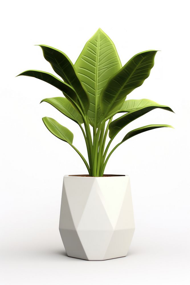 Plant vase leaf white background. | Free Photo Illustration - rawpixel