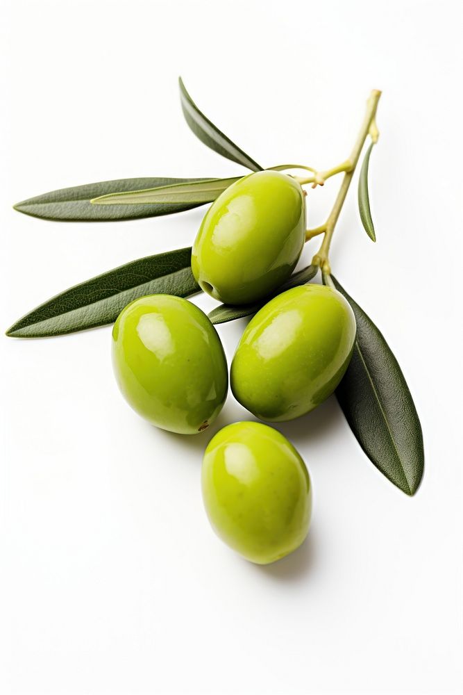 Olive fruit plant food. | Free Photo - rawpixel