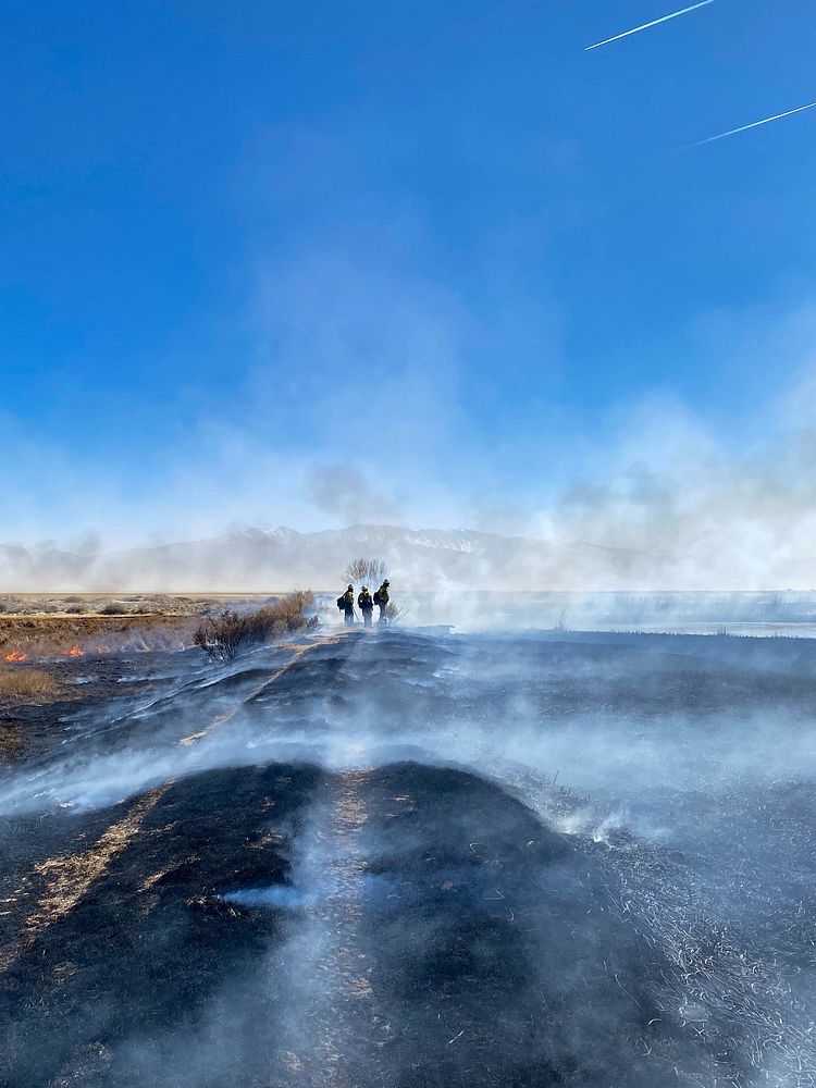 BLM Fire and Aviation Photo | Free Photo - rawpixel
