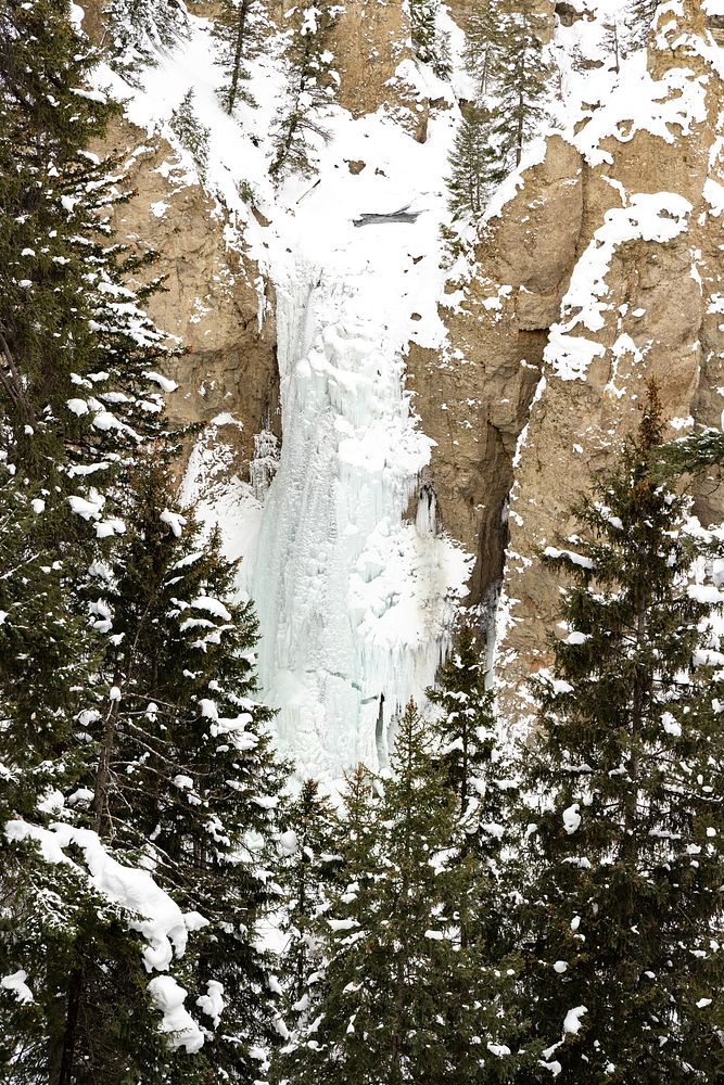 Frozen Tower Fall | Free Photo - rawpixel