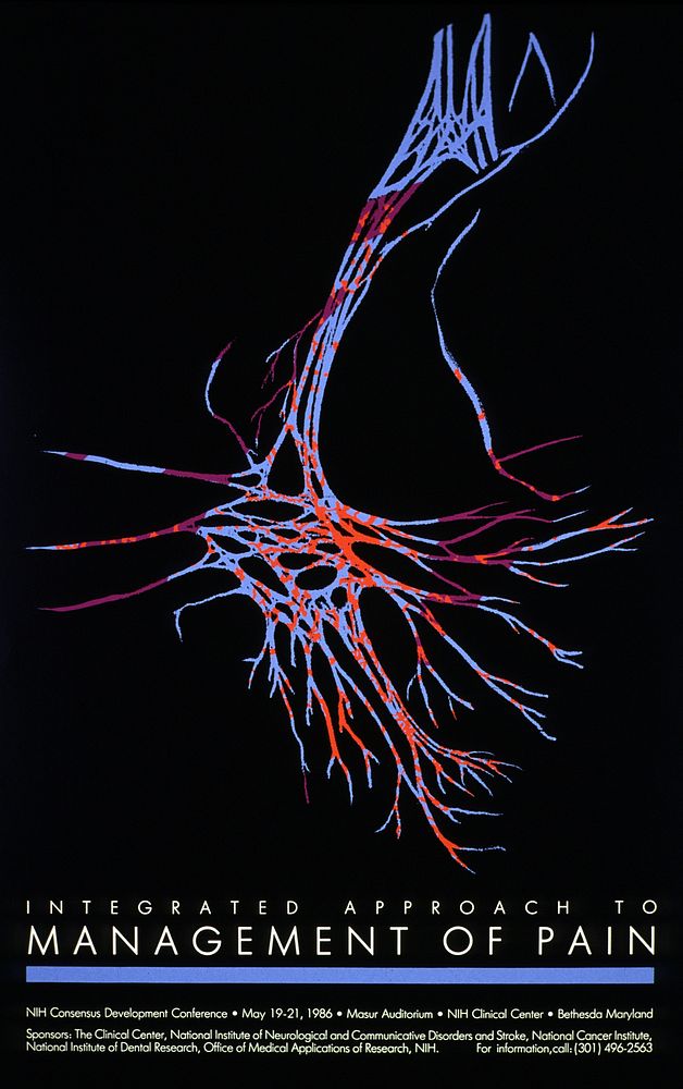 Integrated Approach Management Pain | Free Photo Illustration - rawpixel