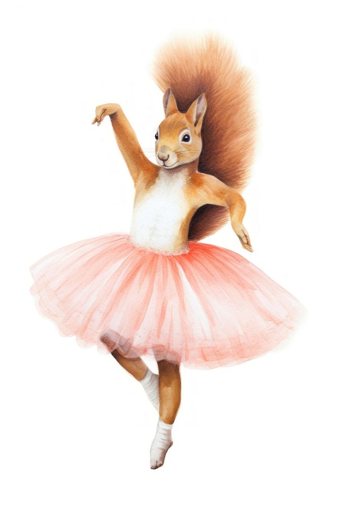 Squirrel dancer dancing mammal animal. | Free Photo Illustration - rawpixel