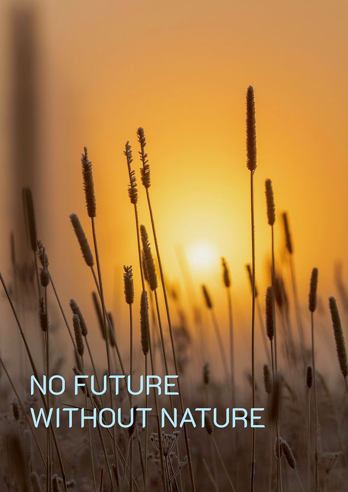 Nature quote poster template | Free Photo - rawpixel