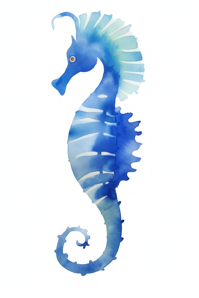 Seahorse animal white background creativity. | Premium Photo ...