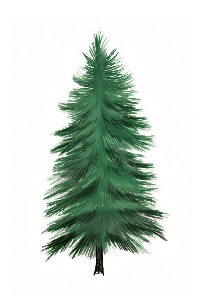 Pine tree. | Free Photo Illustration - rawpixel