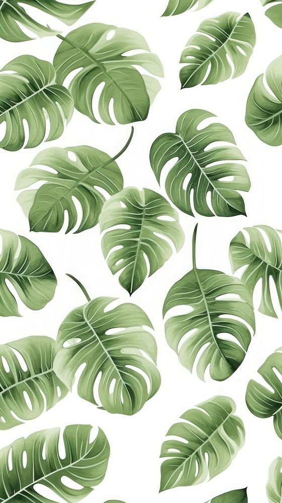Monstera backgrounds pattern nature | Free Photo Illustration - rawpixel