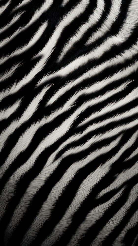 Animal print wildlife pattern mammal. | Free Photo - rawpixel