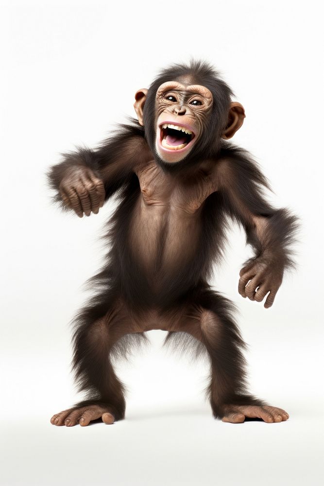 Happy smiling chimpanzee dancing wildlife | Premium Photo - rawpixel