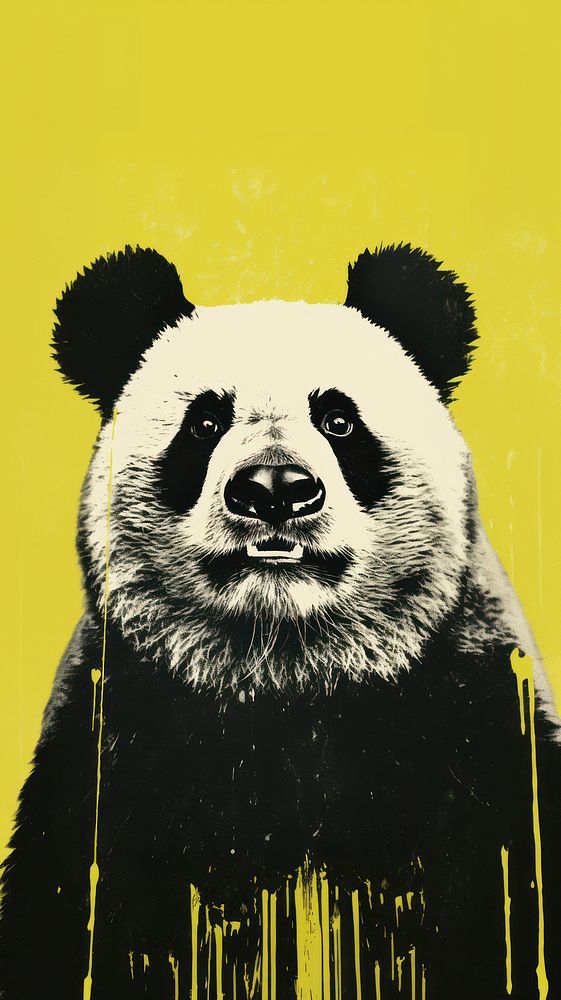 Panda mammal animal panda. | Premium Photo Illustration - rawpixel