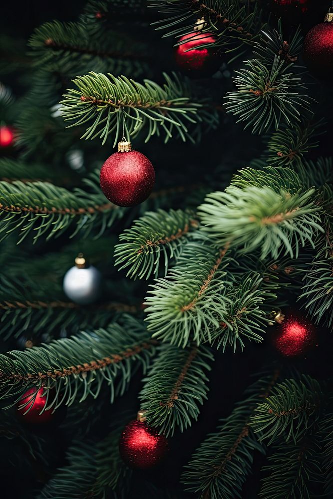 Christmas pine tree christmas decoration | Free Photo - rawpixel