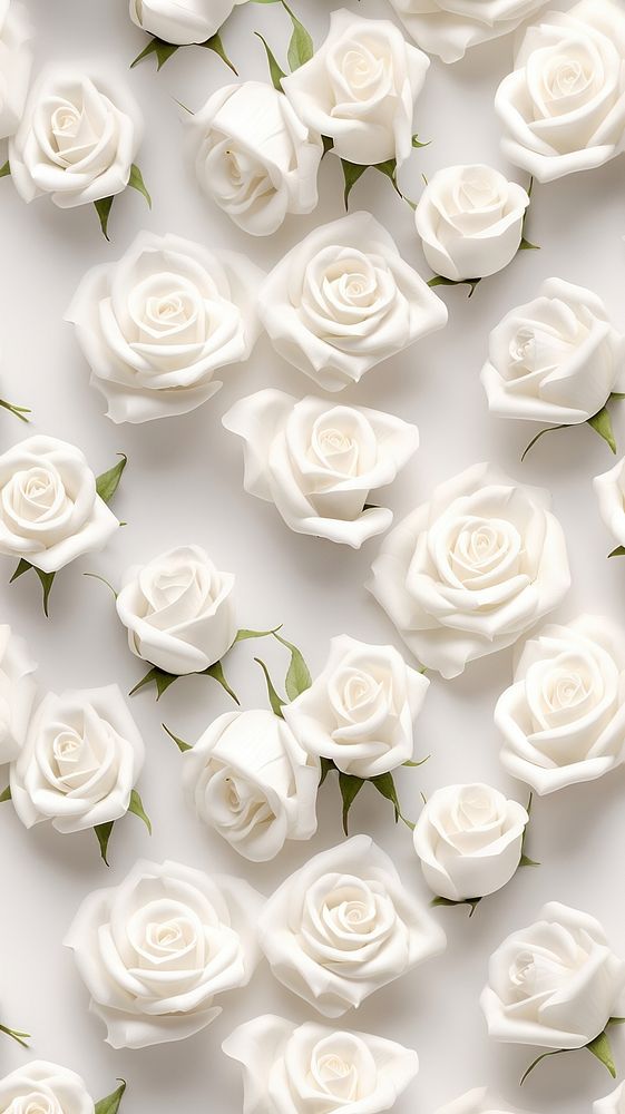 White roses backgrounds pattern flower. | Free Photo - rawpixel