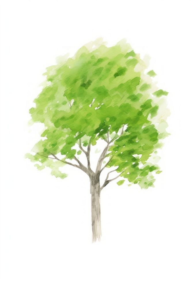 Tree drawing sketch plant. AI | Free Photo Illustration - rawpixel