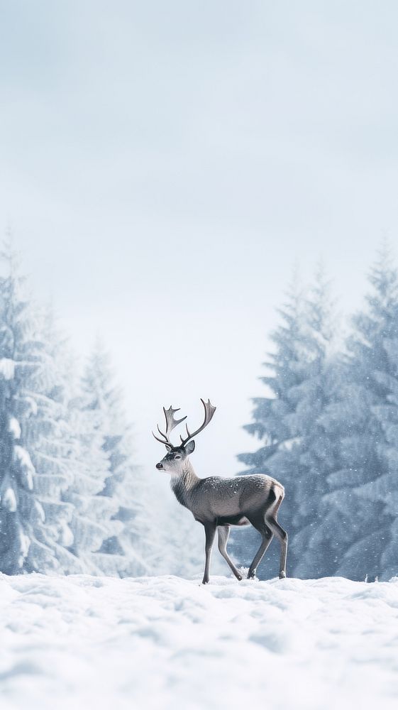 Deer running wildlife forest animal. | Free Photo - rawpixel