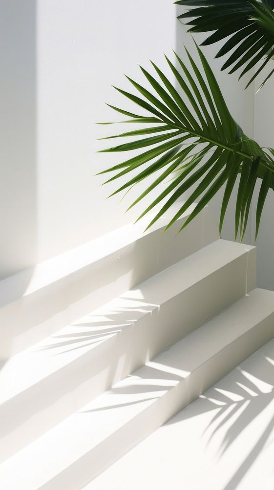 Tropical architecture shadow plant. AI | Free Photo - rawpixel