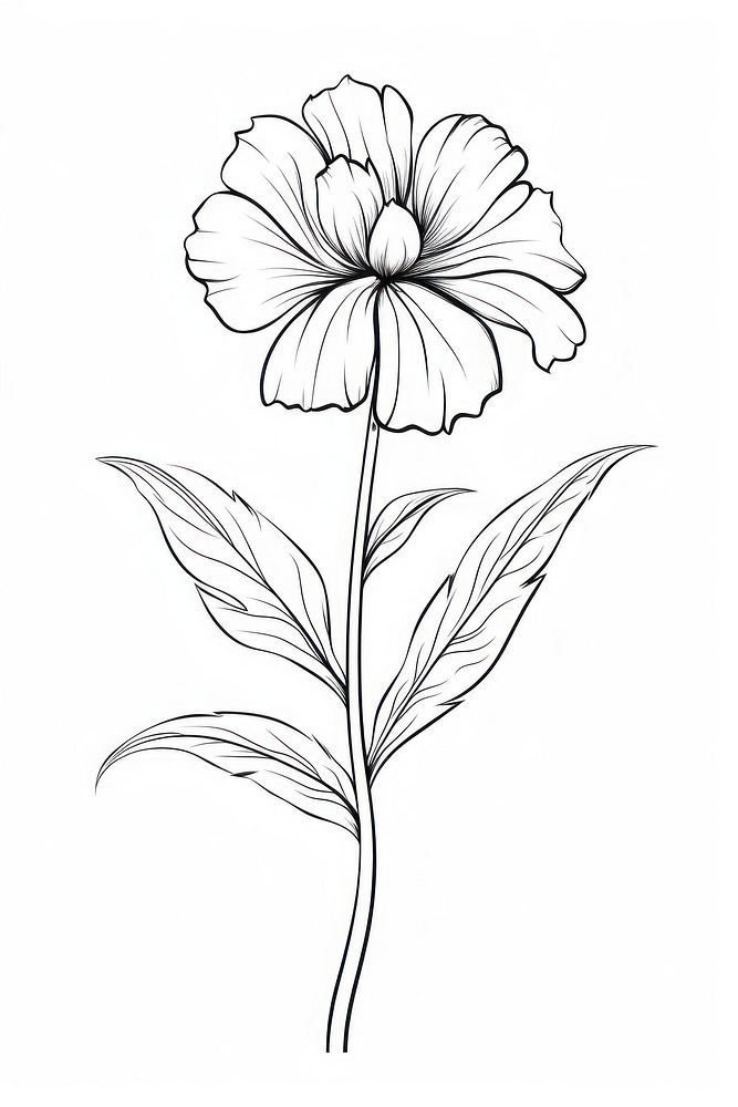 Beautiful flower sketch drawing plant. | Free Photo Illustration - rawpixel