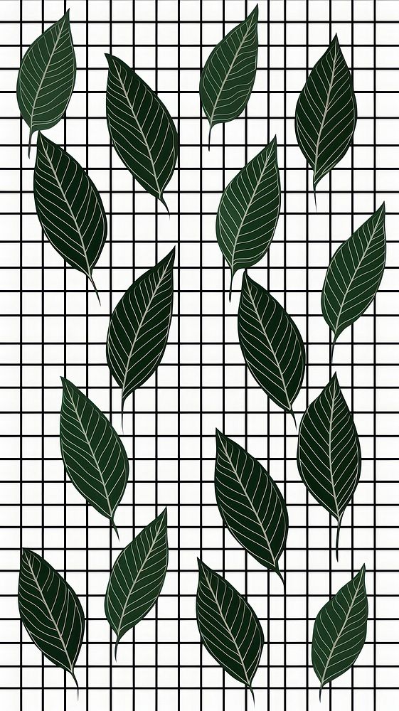 Grid pattern backgrounds plant line. | Free Photo Illustration - rawpixel