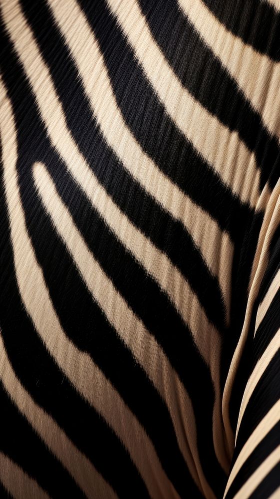 Zebra skin wildlife animal mammal. | Free Photo - rawpixel