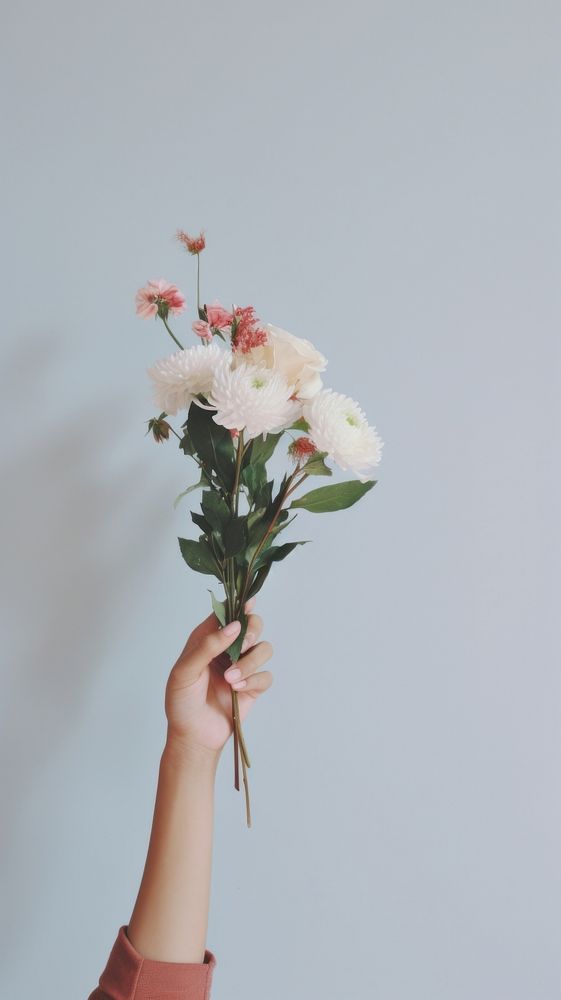 Hand holding flower bouquet plant | Free Photo - rawpixel