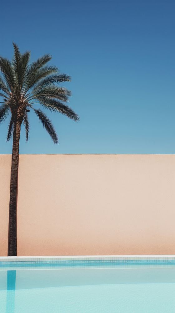 Pool and palm tree architecture | Free Photo - rawpixel