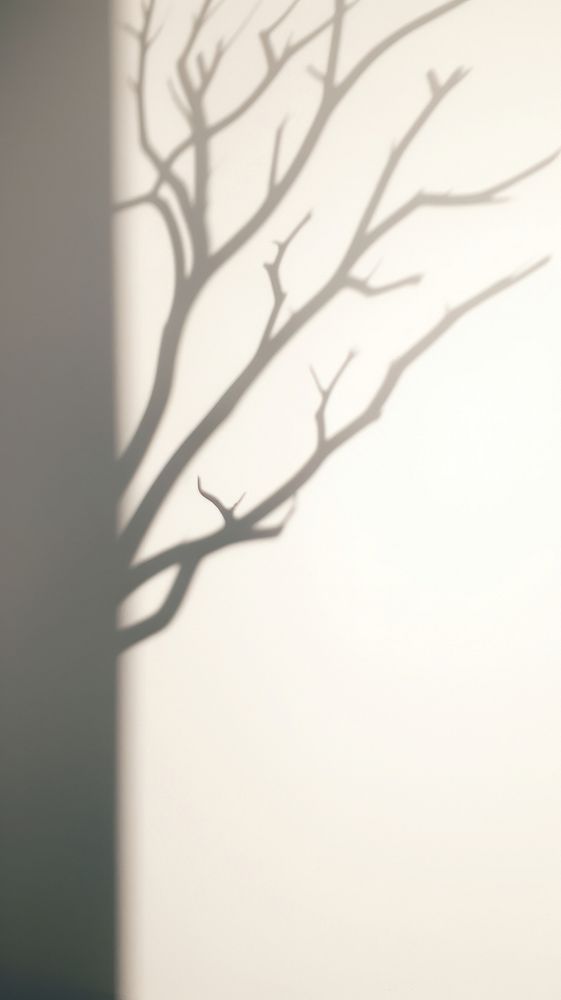 Tree shadow wall silhouette plant. | Free Photo - rawpixel