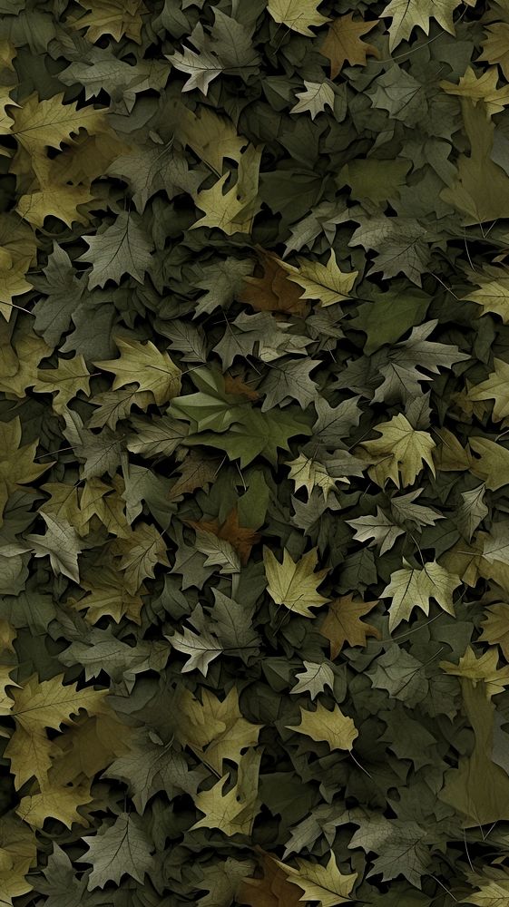 Real leaf camouflage pattern backgrounds | Free Photo Illustration ...